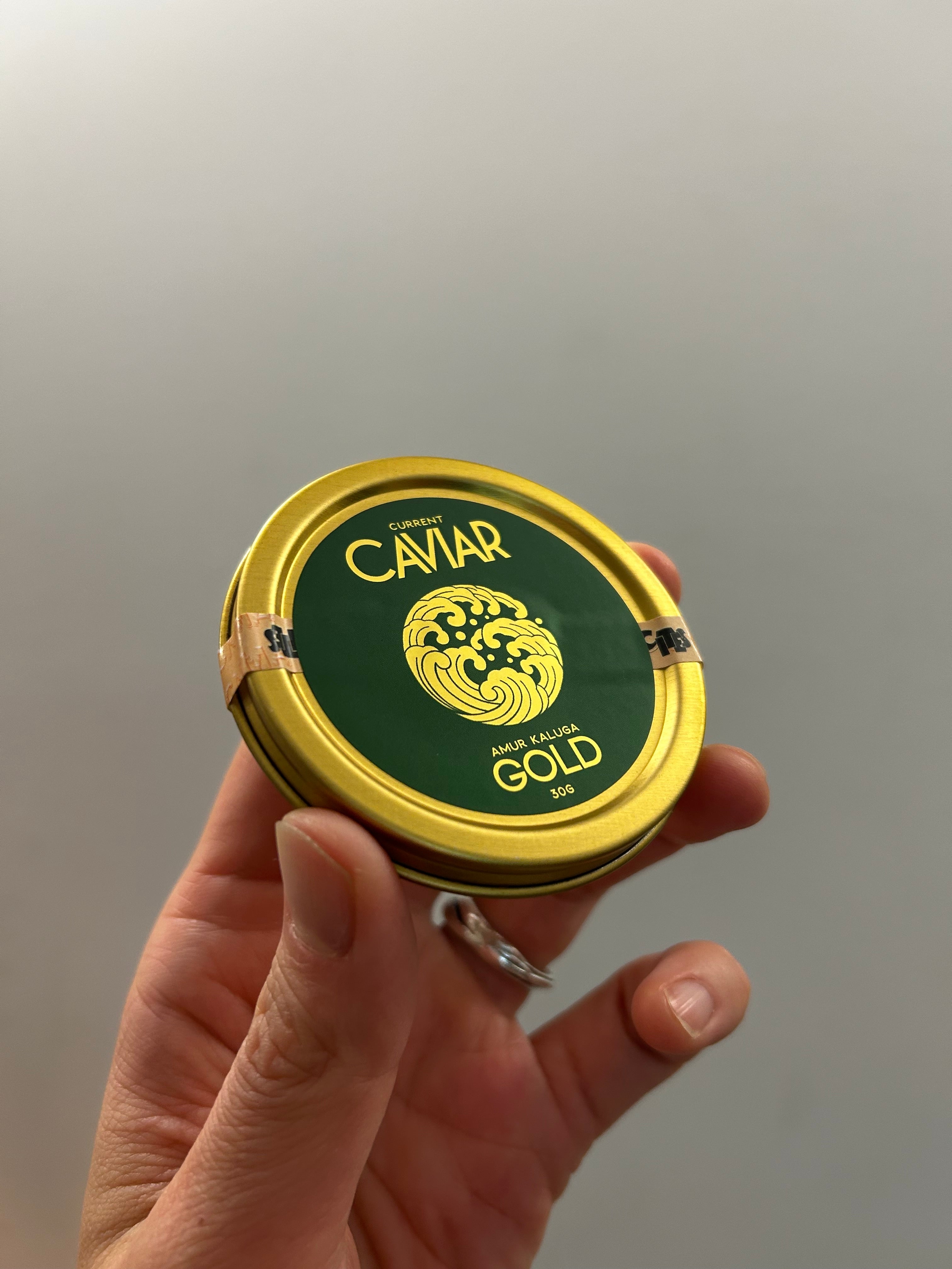 Current Caviar Kaluga Gold – Hakko Gakko sake shop